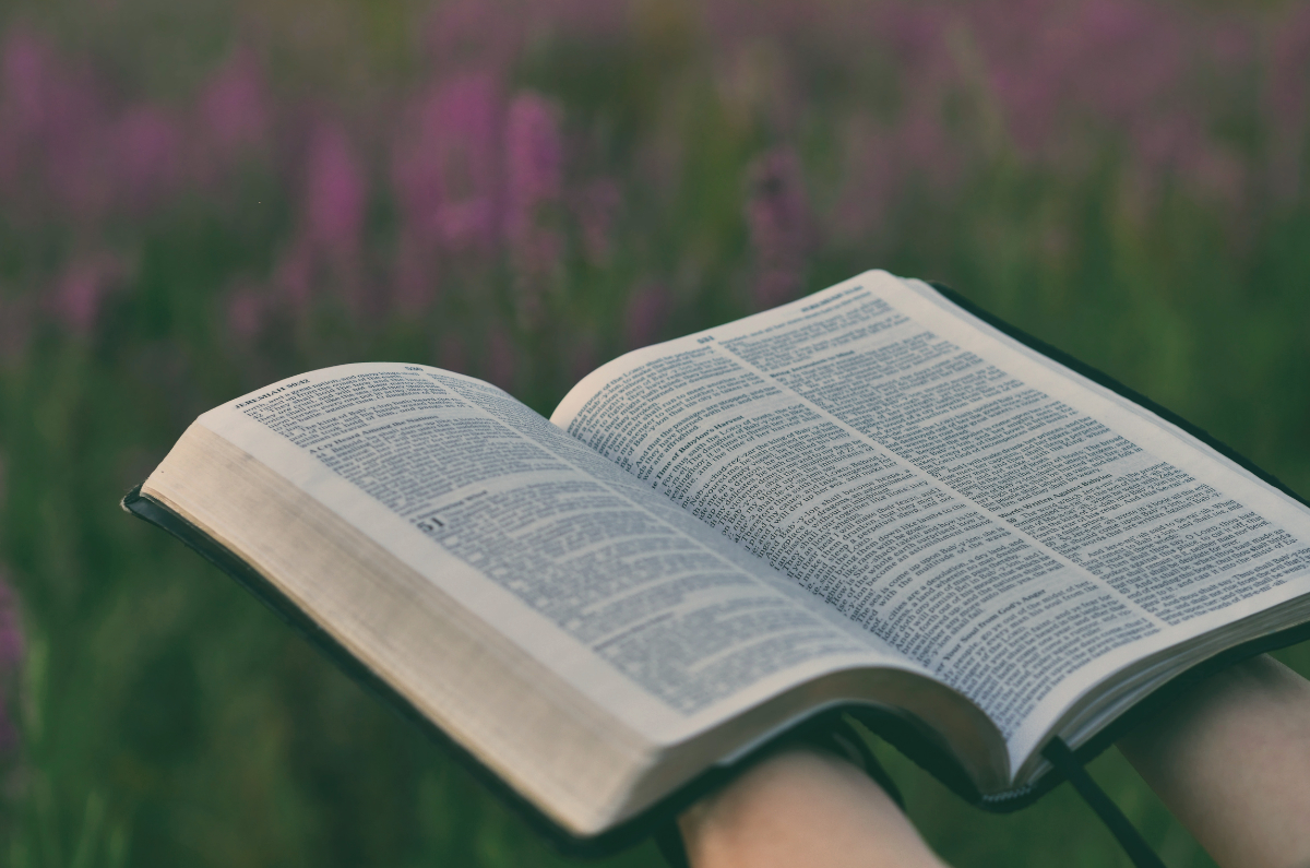 Life Verse Discover Personal Meaning In God s Word life-verse-discover-personal-meaning-in-god-s-word