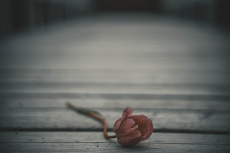 Endure: The Key to Gaining Hope from Our Struggles – Oh Lord Help Us